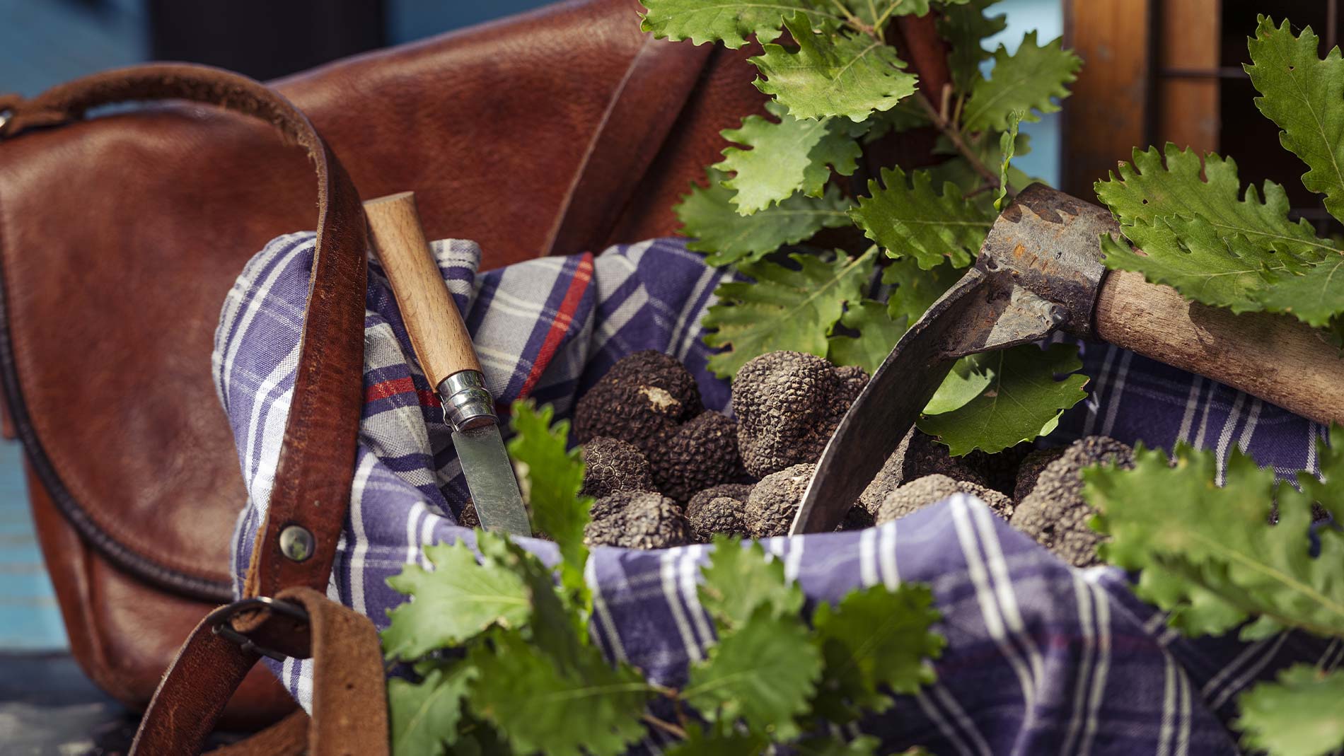 Truffle Sauce and Truffle-Based Condiments | Valnerina Tartufi